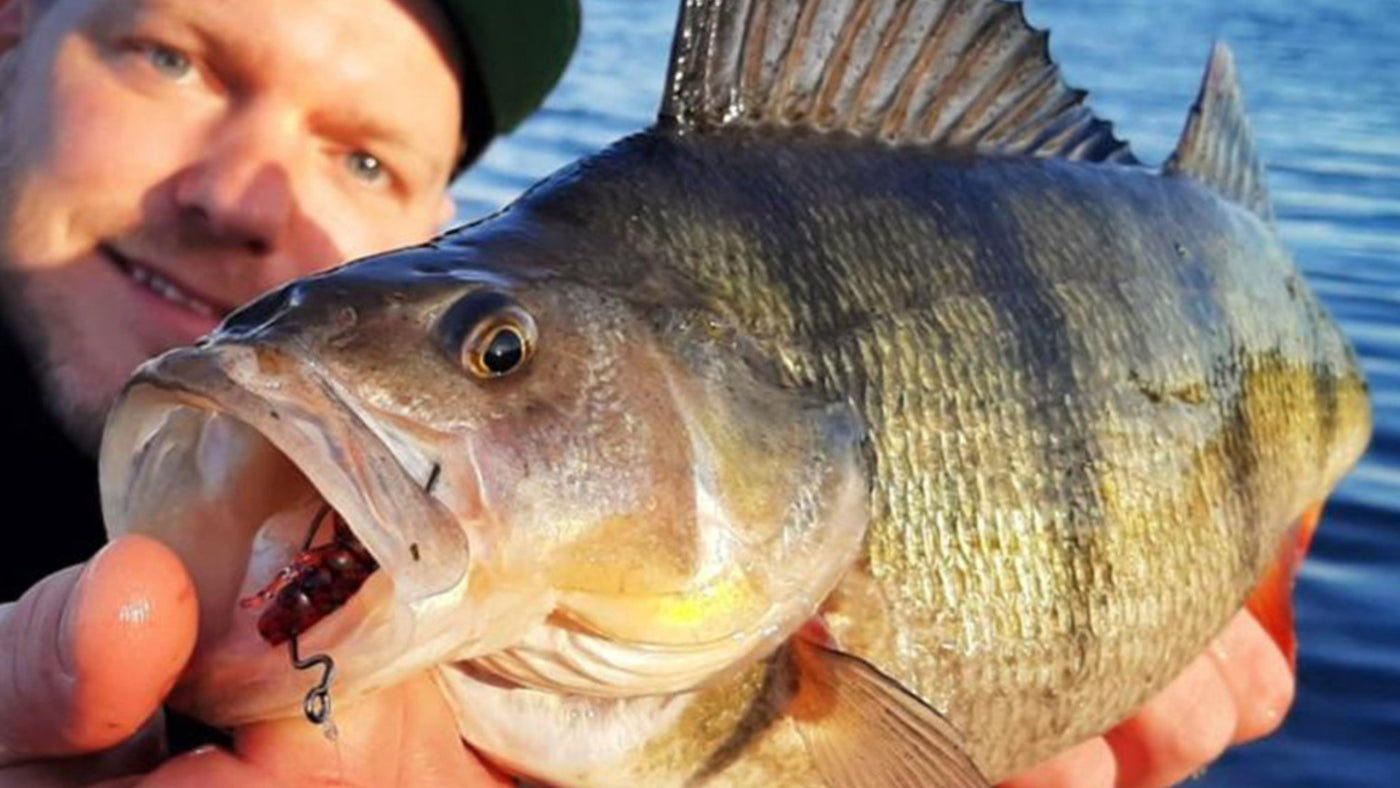 Angeln mit Kickback-Rig » HechtundBarsch.de