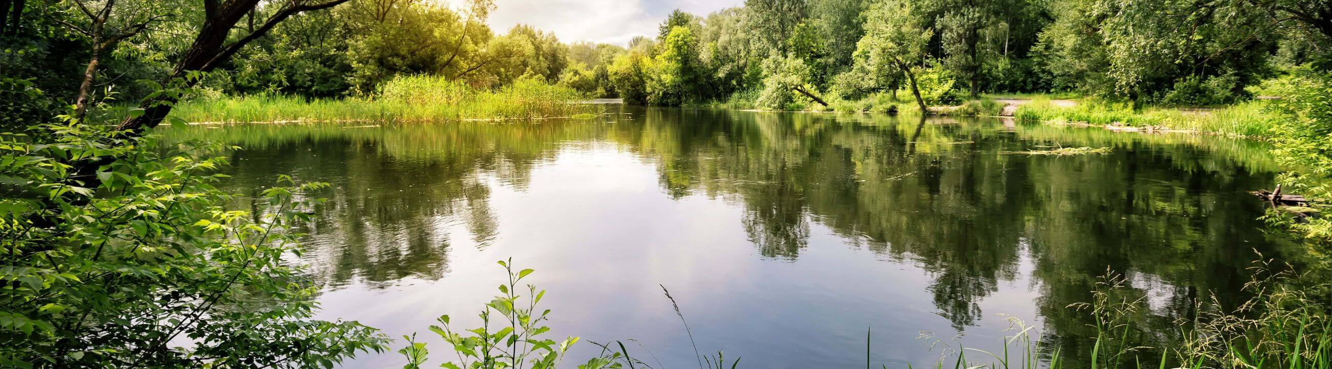 Deadbait Ruten » Finde Angelruten fürs Köderfischangeln bei ...