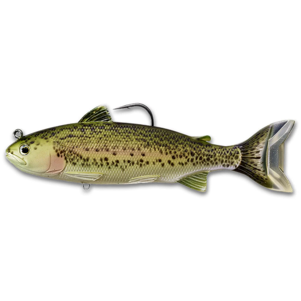 Live Target Trout (Adult) Swimbait » HechtundBarsch.de