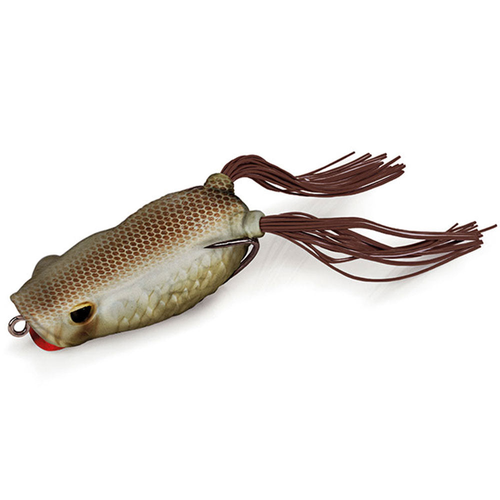 Molix Pop Frog 6,5 cm » HechtundBarsch.de