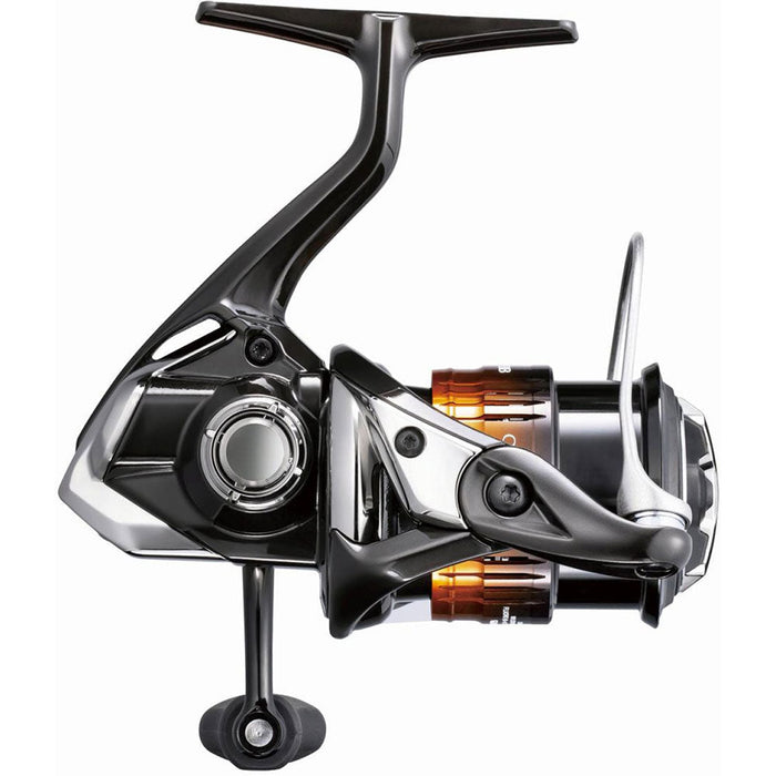 Shimano Soare BB C2000SSPG » HechtundBarsch.de