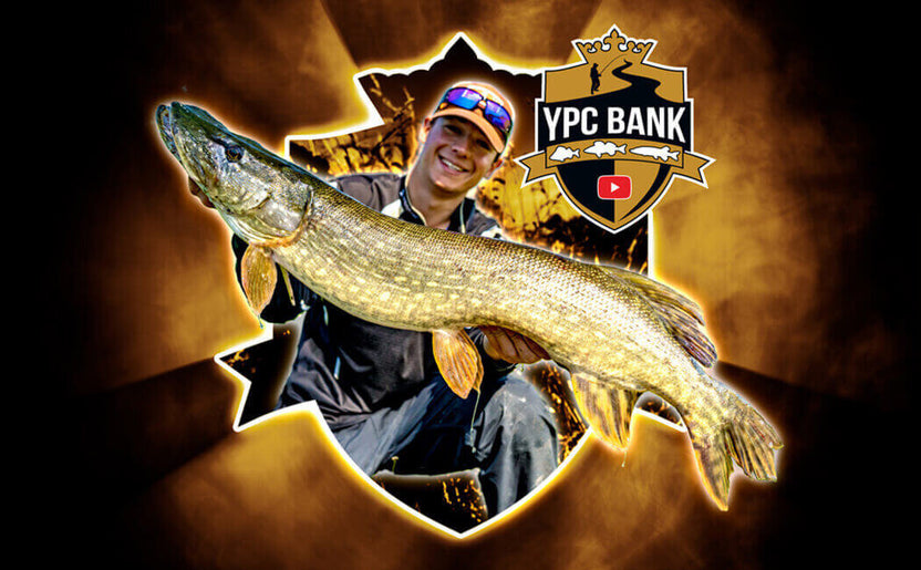 YPC Bank 2025 » HechtundBarsch.de